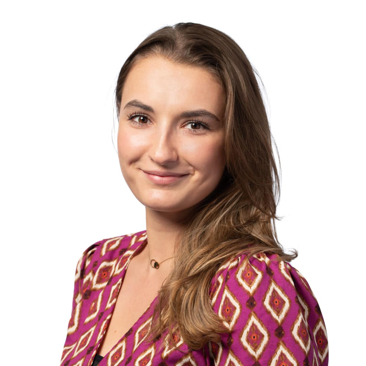 Groep 7/8 — Houtkamp College